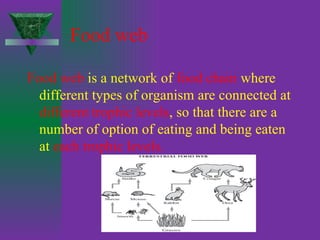 Ecosystem | PPT