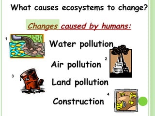 Ecosystem | PPT