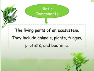 Ecosystem | PPT