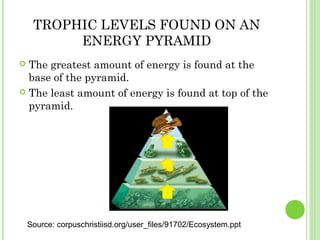 Ecosystem | PPT