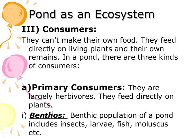 Ecosystem