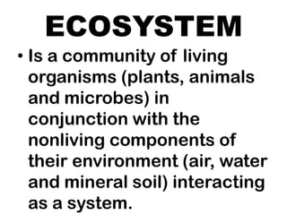 Components of the Ecosystem and Ecological Relationships | PPTX