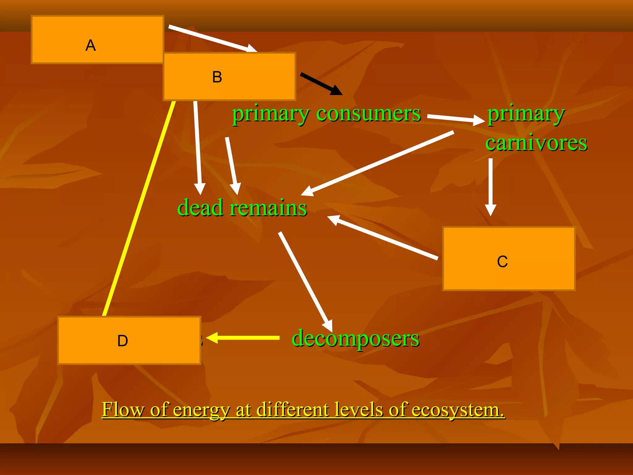 Ecosystem | PPT