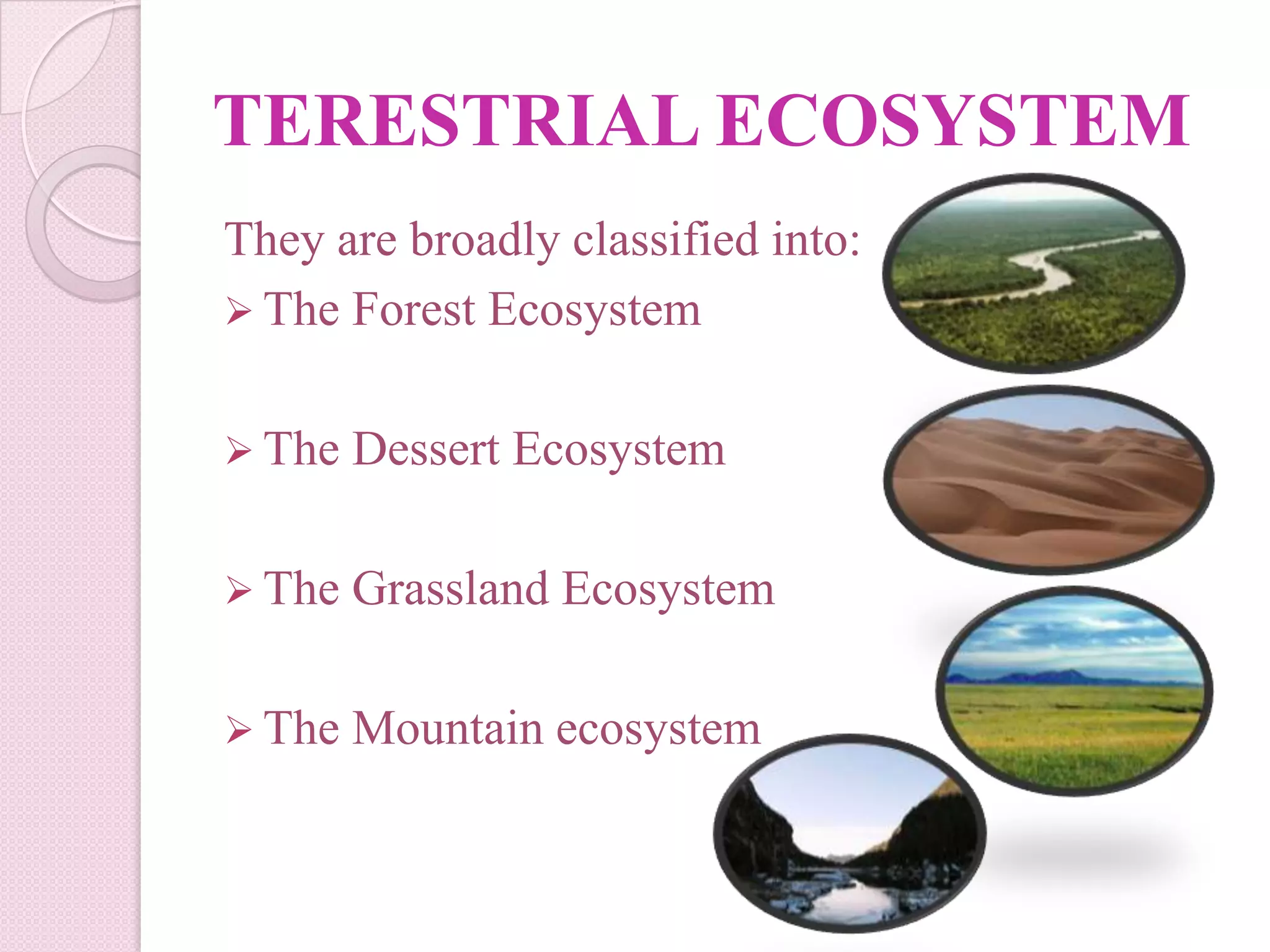 Ecosystem IN COMMUNITY M.SC NURSING | PPTX