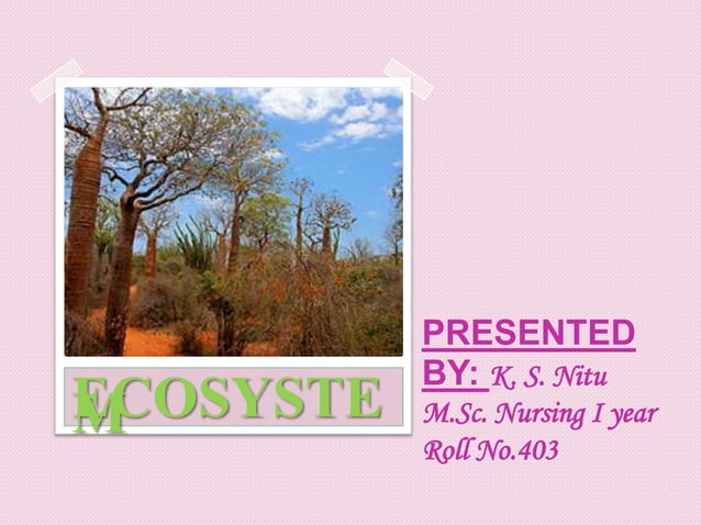 Ecosystem IN COMMUNITY M.SC NURSING | PPTX | Environment | Science