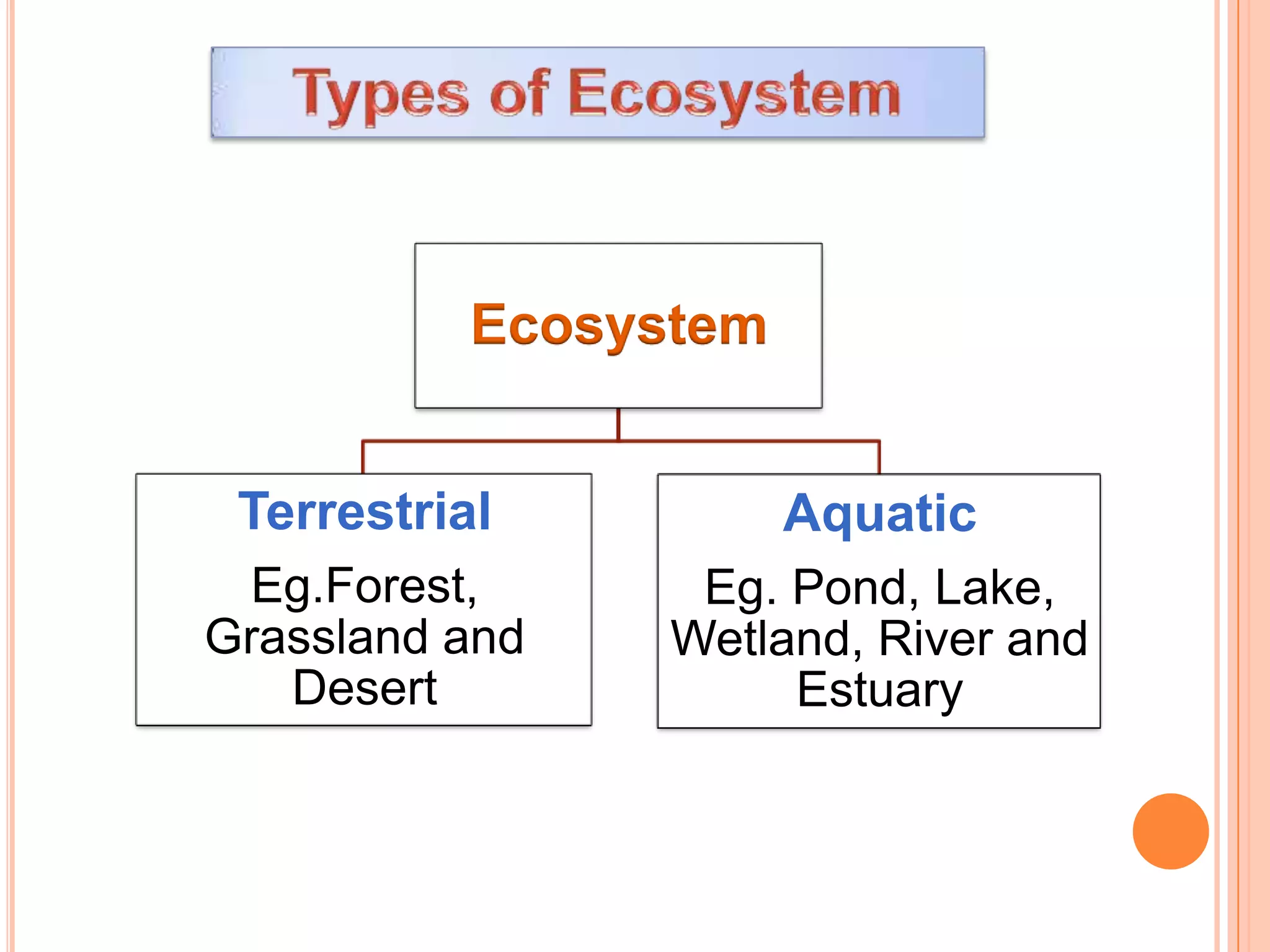 Ecosystem:Structure and Function | PPTX