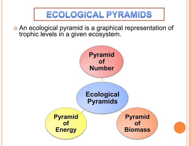 Ecosystem:Structure and Function | PPTX
