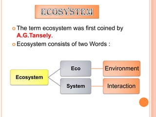 Ecosystem:Structure and Function | PPTX