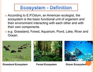Ecosystem:Structure and Function | PPTX
