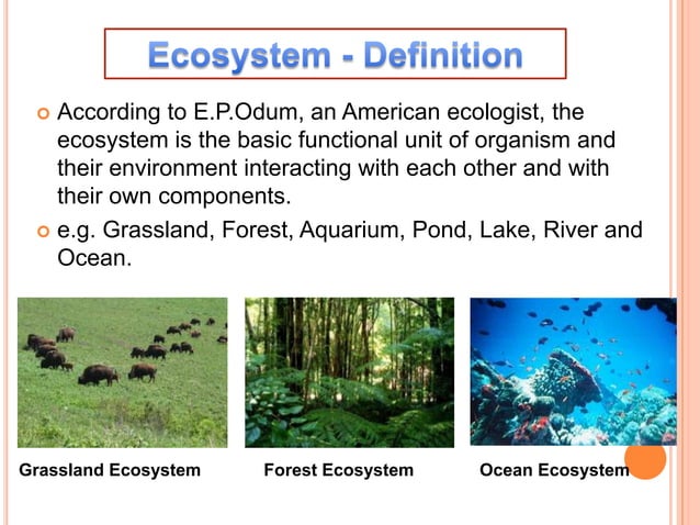Ecosystem:Structure and Function | PPTX