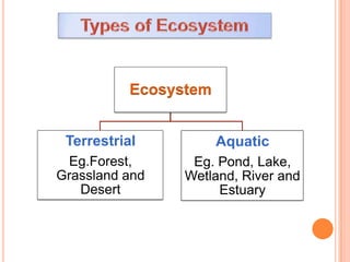 Ecosystem:Structure and Function | PPTX