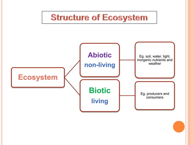 Ecosystem Structure And Function Pptx
