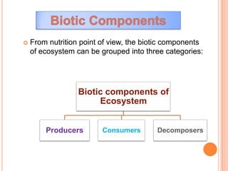 Ecosystem:Structure and Function | PPTX