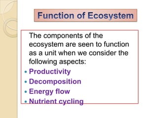 Ecosystem:Structure and Function | PPTX