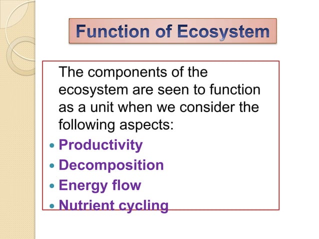 Ecosystem:Structure and Function | PPTX