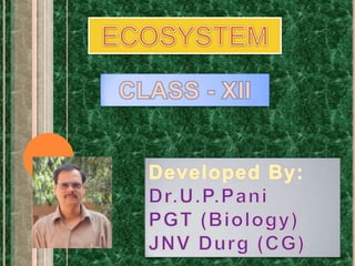 The Essentials of Ecosystem Structure and Functioning | PPT