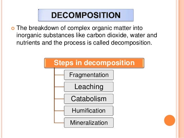 Decomposition : Steps | Factors Affecting | Saprophytes - Biology