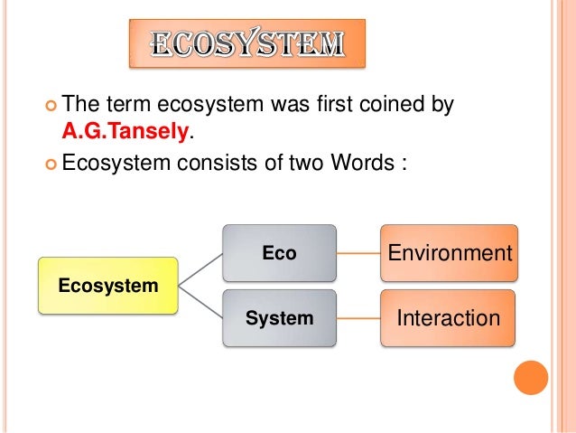 Ecosystem Definition Structure And Function Types Teachoo