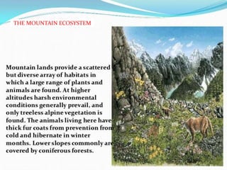 Ecosystem | PPTX