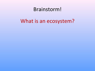 Ecosystem (Described very attractively) | PPT