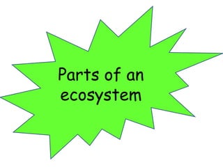 Ecosystem | PPT