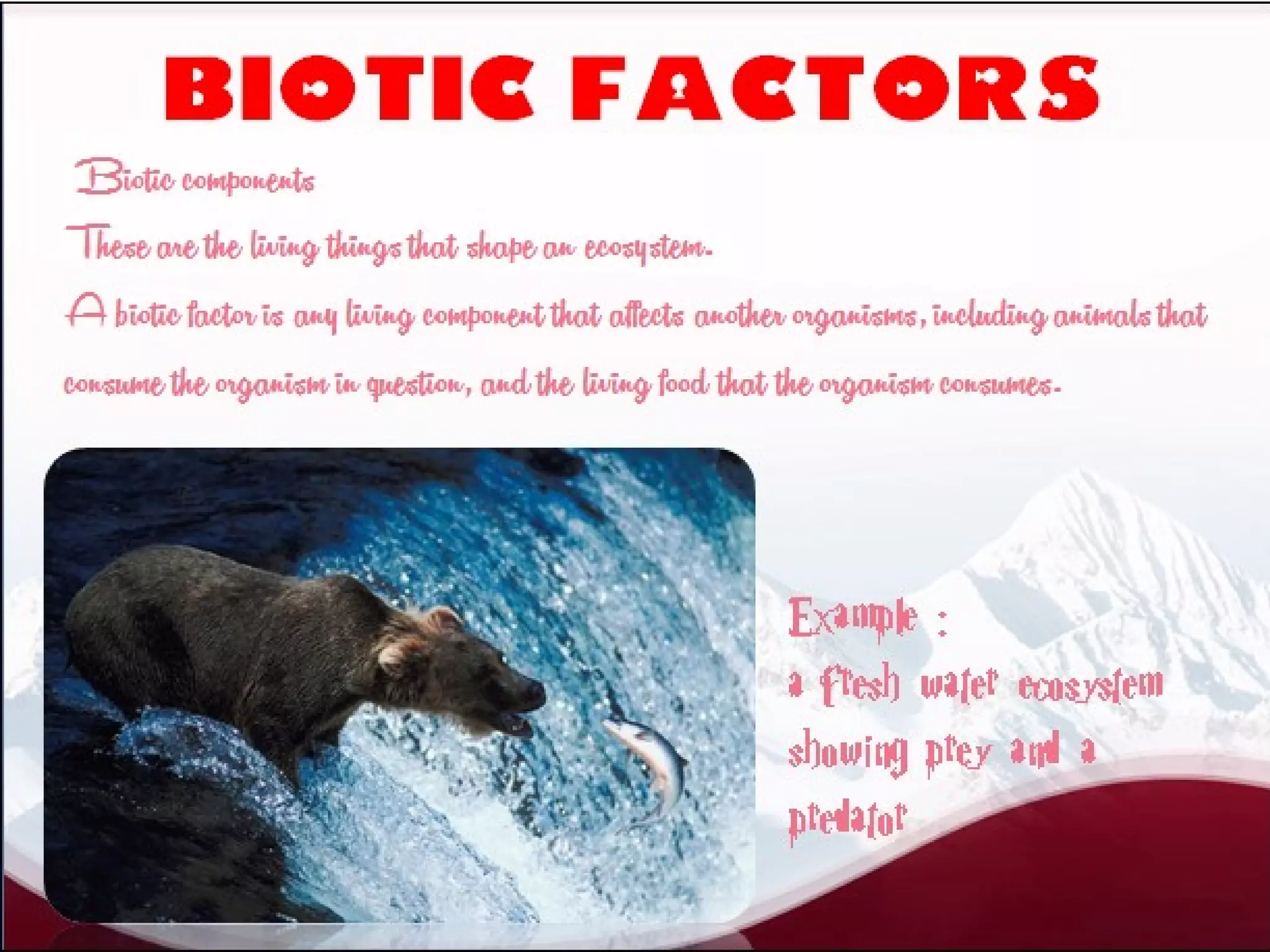 Ecosystem | class 12 | cbse | PPT