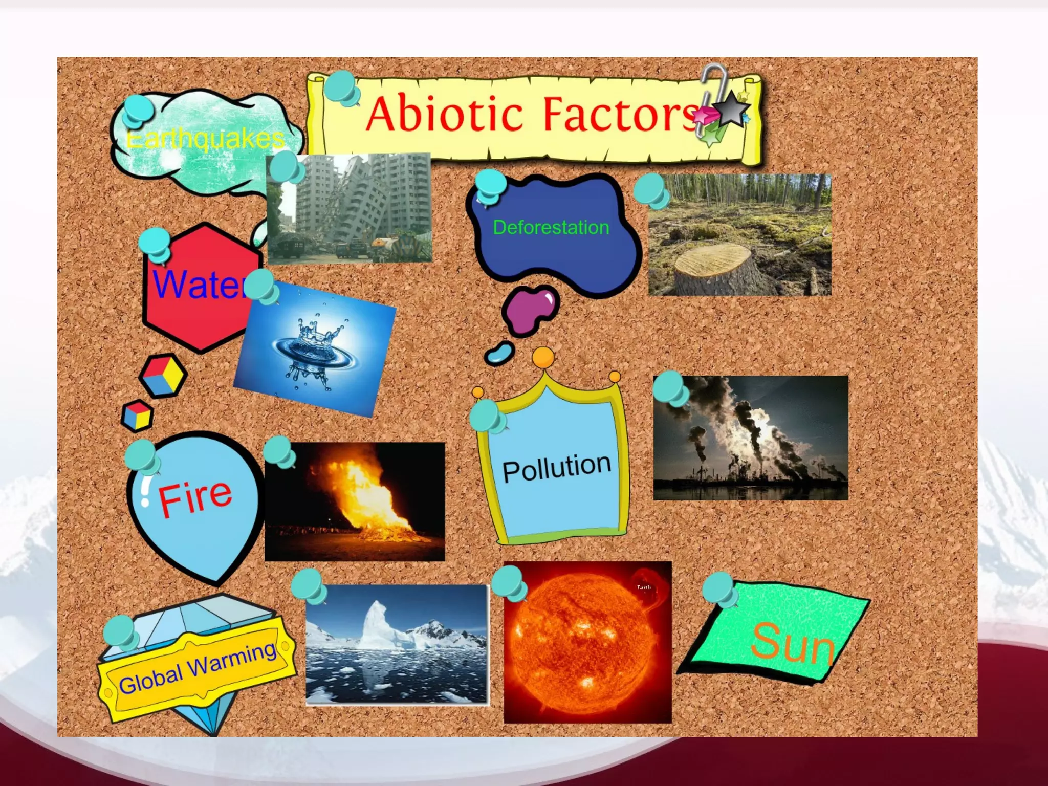 Ecosystem | class 12 | cbse | PPT