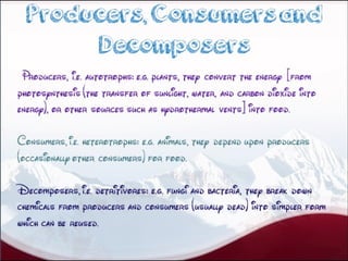 Ecosystem | class 12 | cbse | PPT