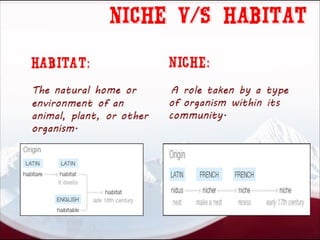 Ecosystem | class 12 | cbse | PPT