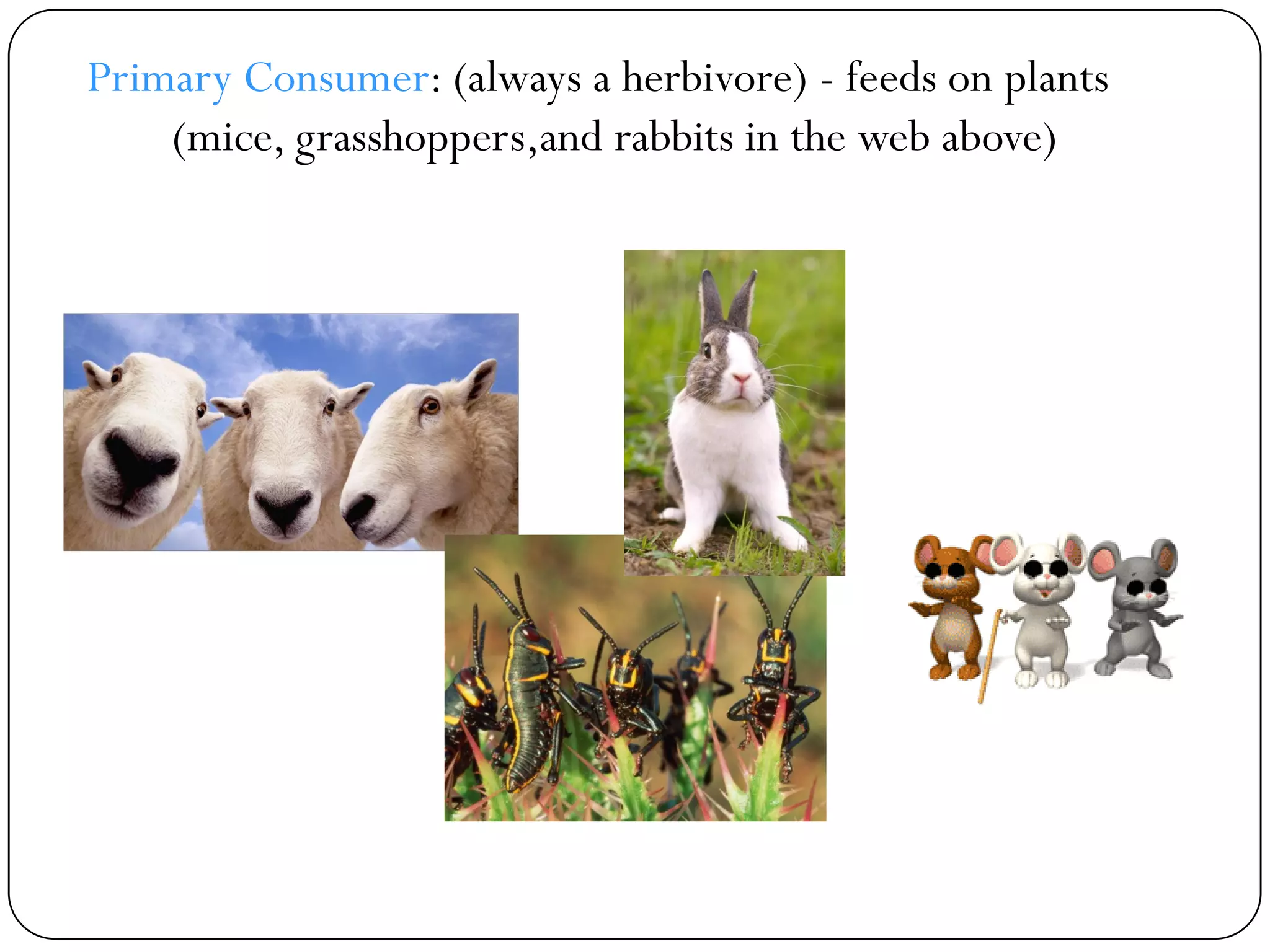 Ecosystem | PDF
