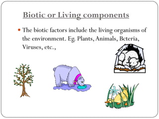 Ecosystem | PDF