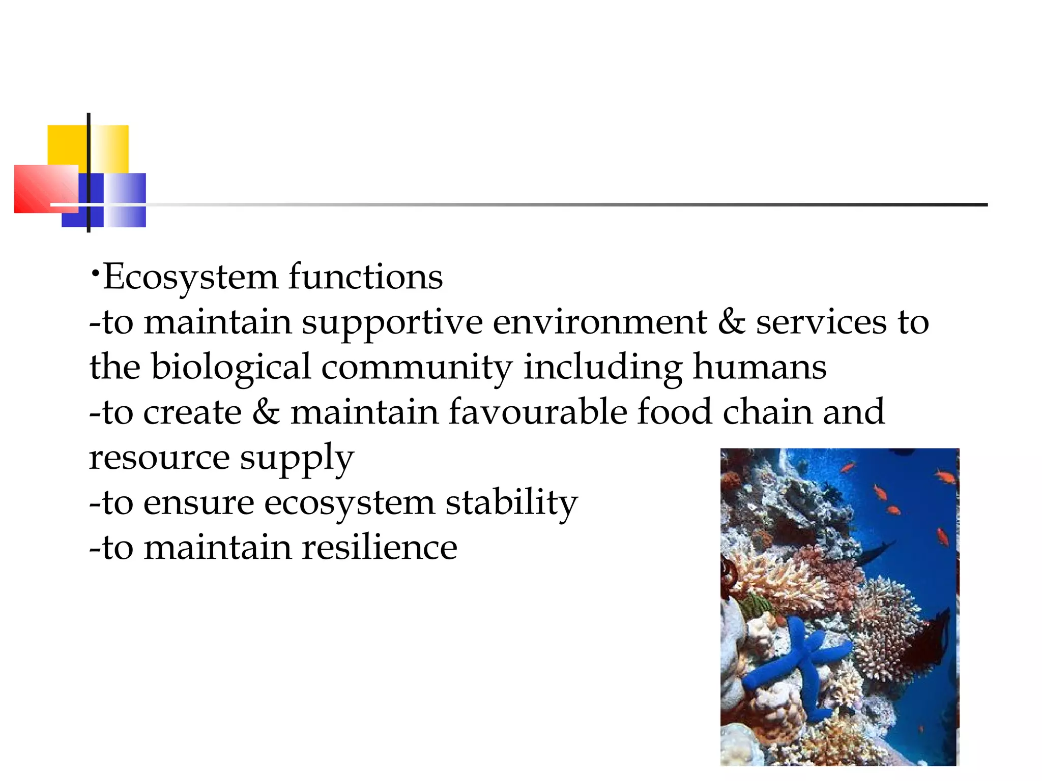 Ecosystem | PPT