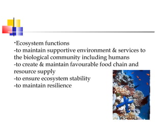 Ecosystem | PPT