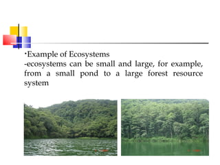 Ecosystem | PPT
