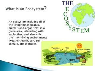 Ecosystem | PPTX