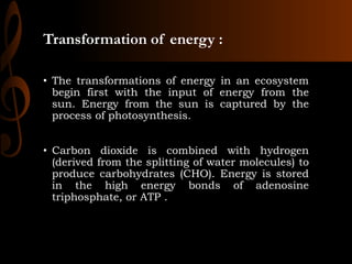 ecosystem-150606063938-lva1-app6892.pdf