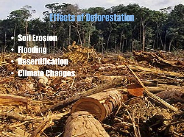 Ecosystem | PPT | Environment | Science