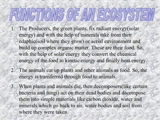 Ecosystem | PPT | Zoos & Aquariums | Attractions