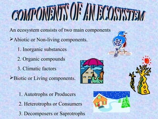 Ecosystem | PPT