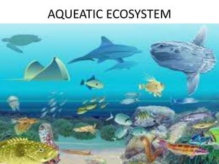 Ecosystem | PPT