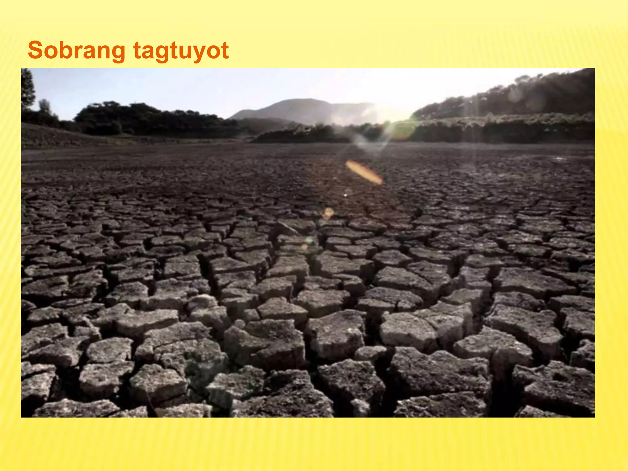 Ang Bunga ng Kapinsalaan sa kapaligiran | PPTX