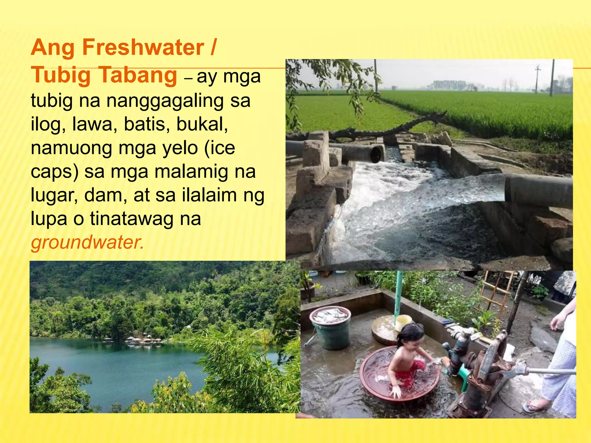 Ang Bunga ng Kapinsalaan sa kapaligiran | PPTX