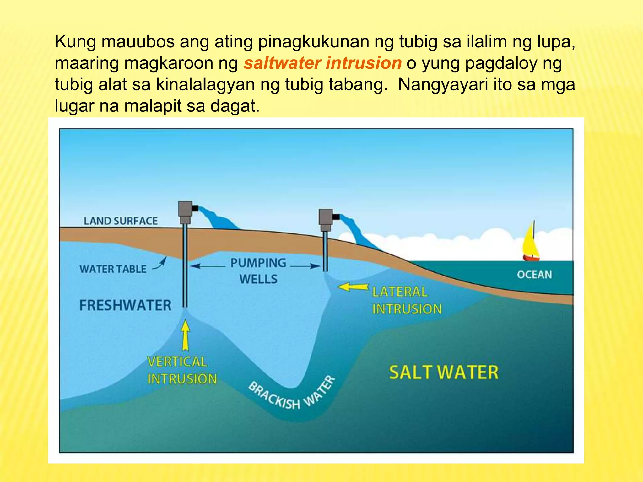 Ang Bunga ng Kapinsalaan sa kapaligiran | PPTX