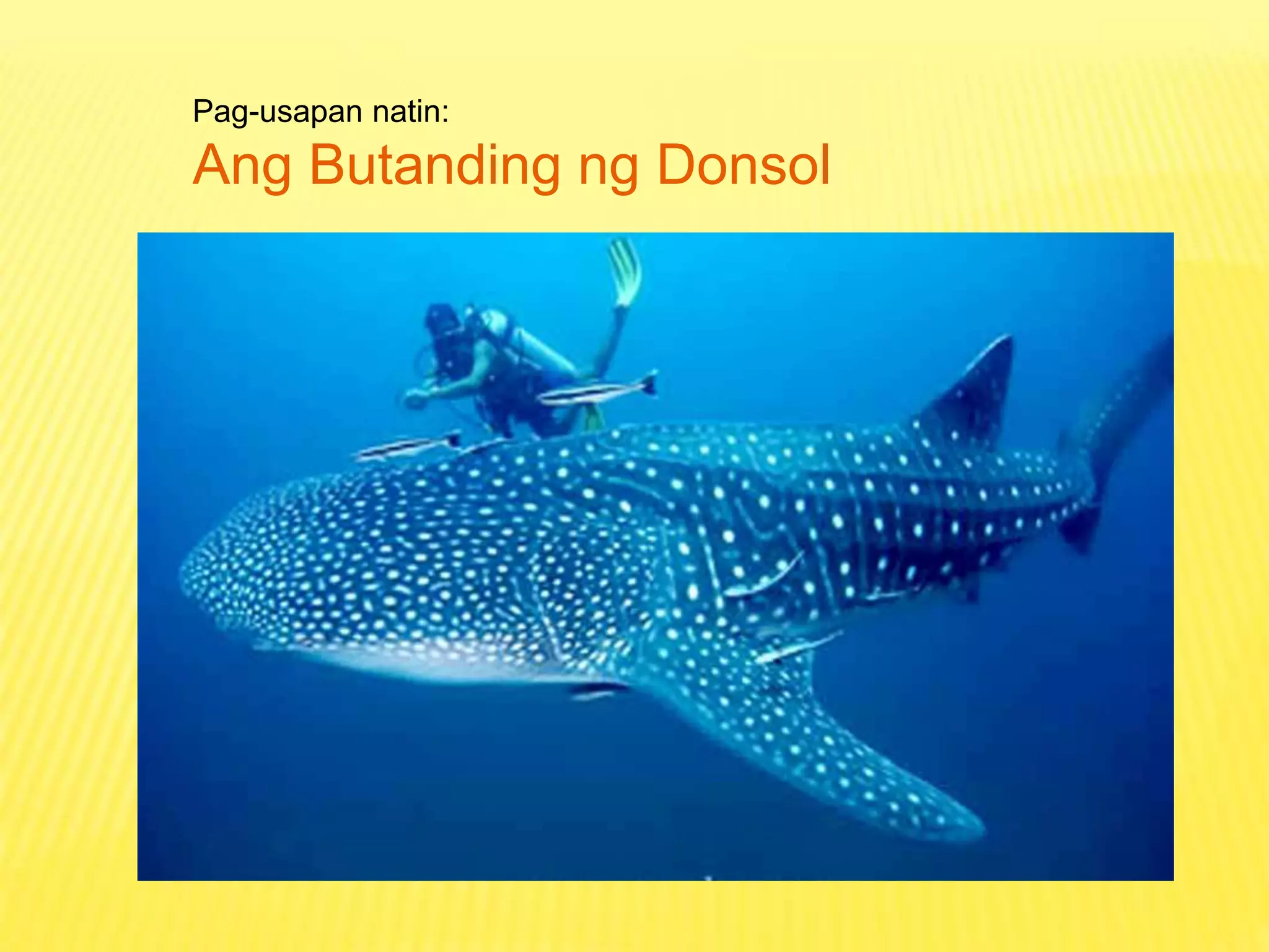 Ang Bunga ng Kapinsalaan sa kapaligiran | PPTX