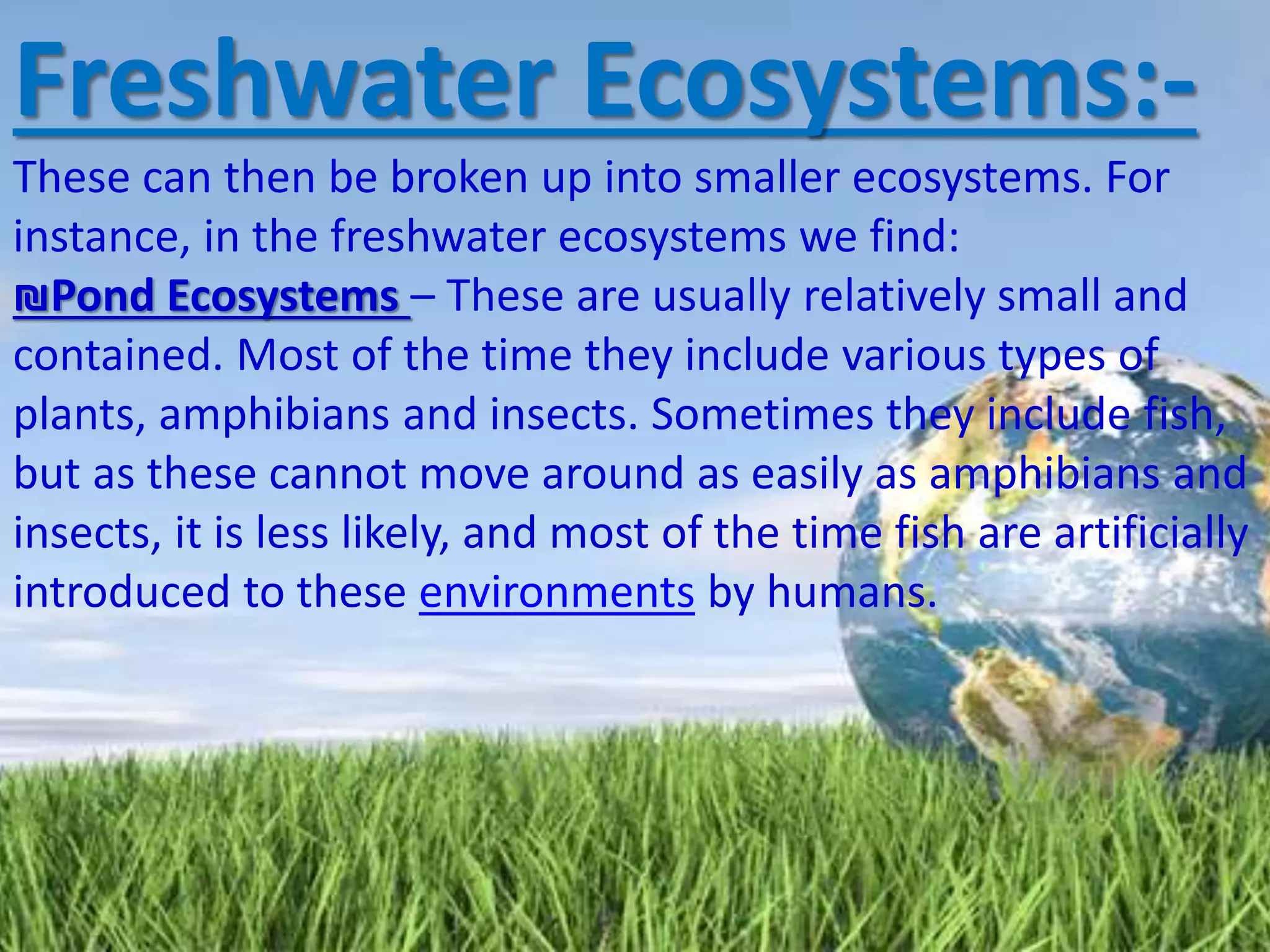 Ecosystem | PPTX