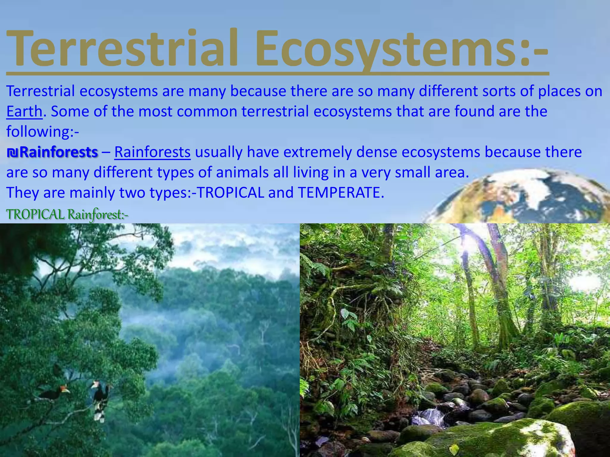 Ecosystem | PPTX