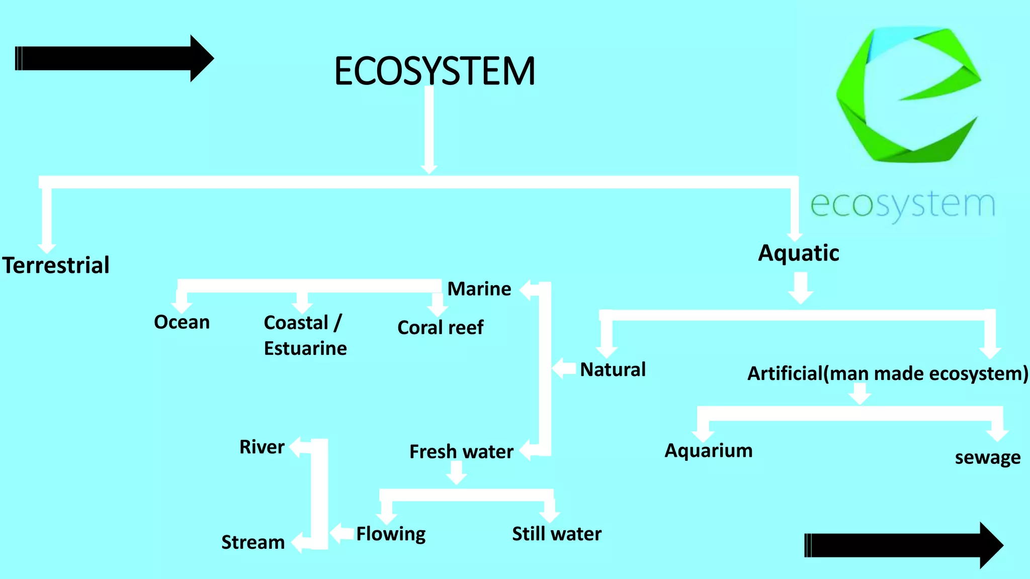 Ecosystem | PPT