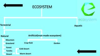 Ecosystem | PPT