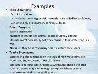 Ecosystem | PPT