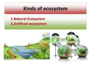 Ecosystem in ecology | PPTX